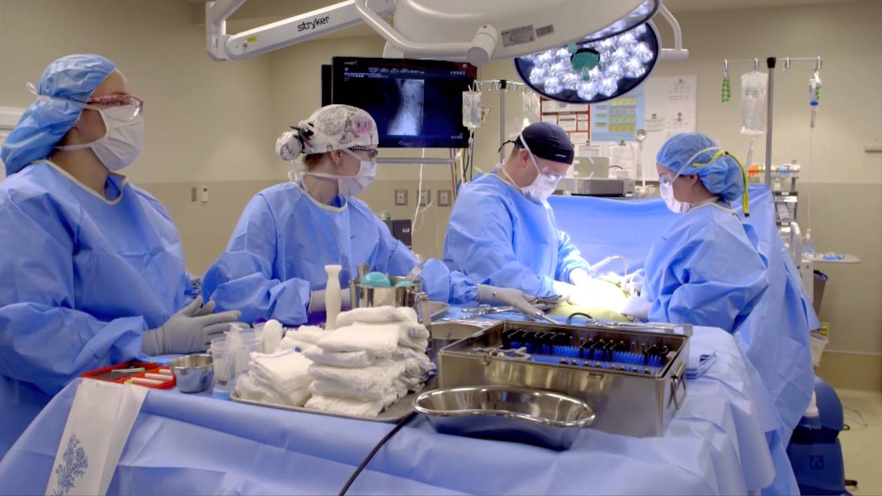 Meet Dr. Todd Ritzman - YouTube