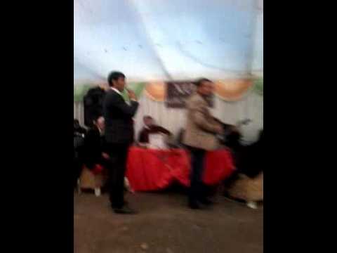 ELŞAD NECEFOV TELAVAR