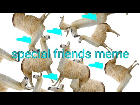 special friends meme - YouTube