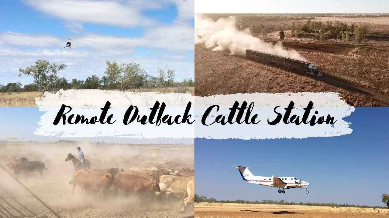 My backyard on a remote outback cattle station - YouTube
