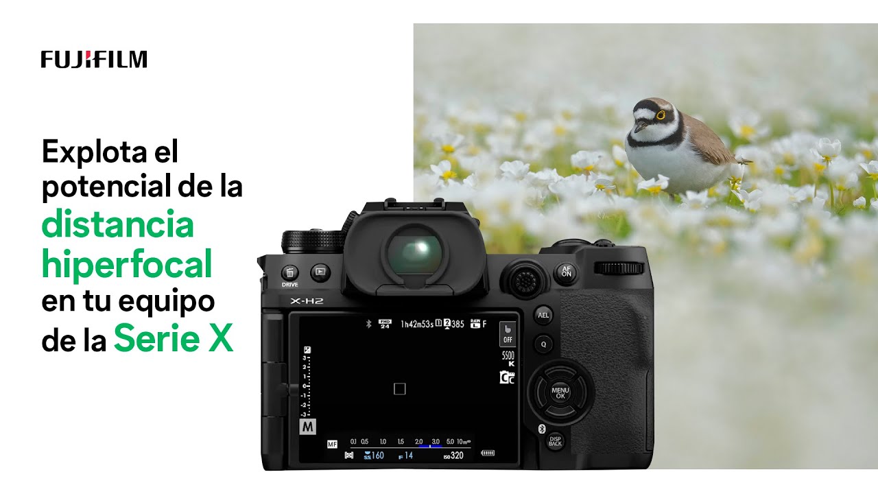 Aprende a dominar la distancia hiperfocal en tus equipos de la Serie X ...