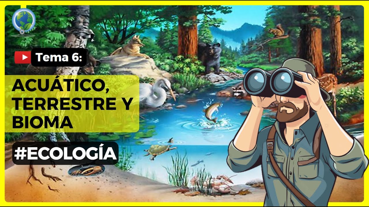 🏞️ Tipos de ecosistemas | #ecología 🍃 - YouTube