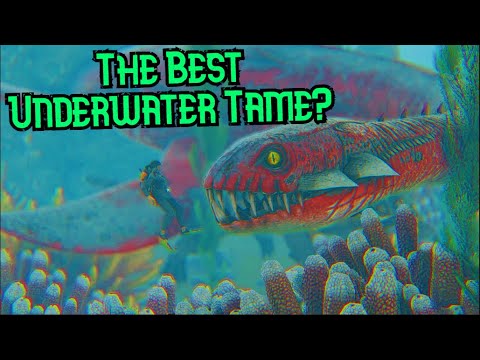 The Top 10 Best Underwater Ark Tames! - YouTube