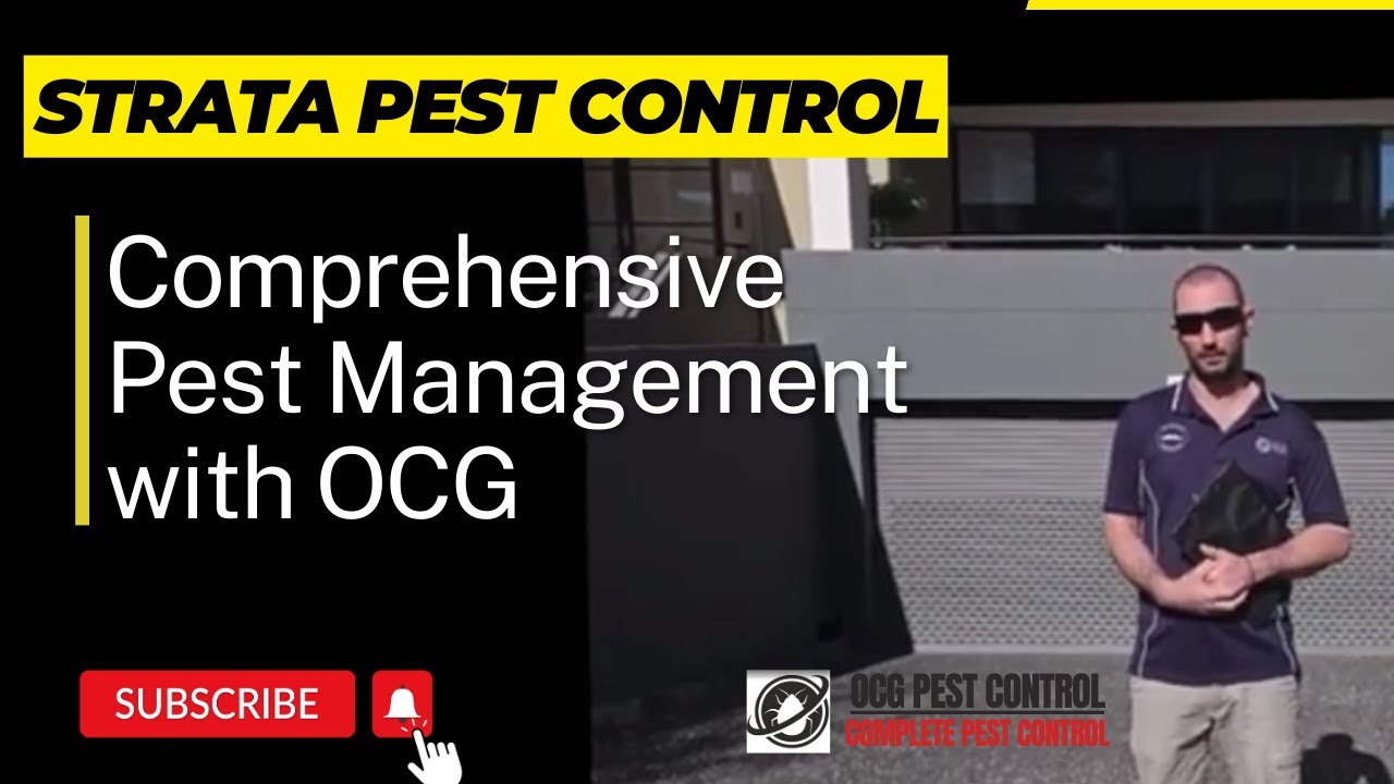 Strata Pest Control Mastery with OCG Safeguarding Your Strata Property ...