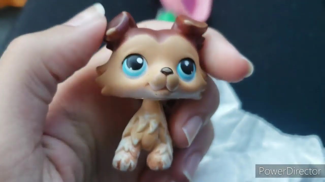 Lps collie 58 variant unboxing - YouTube