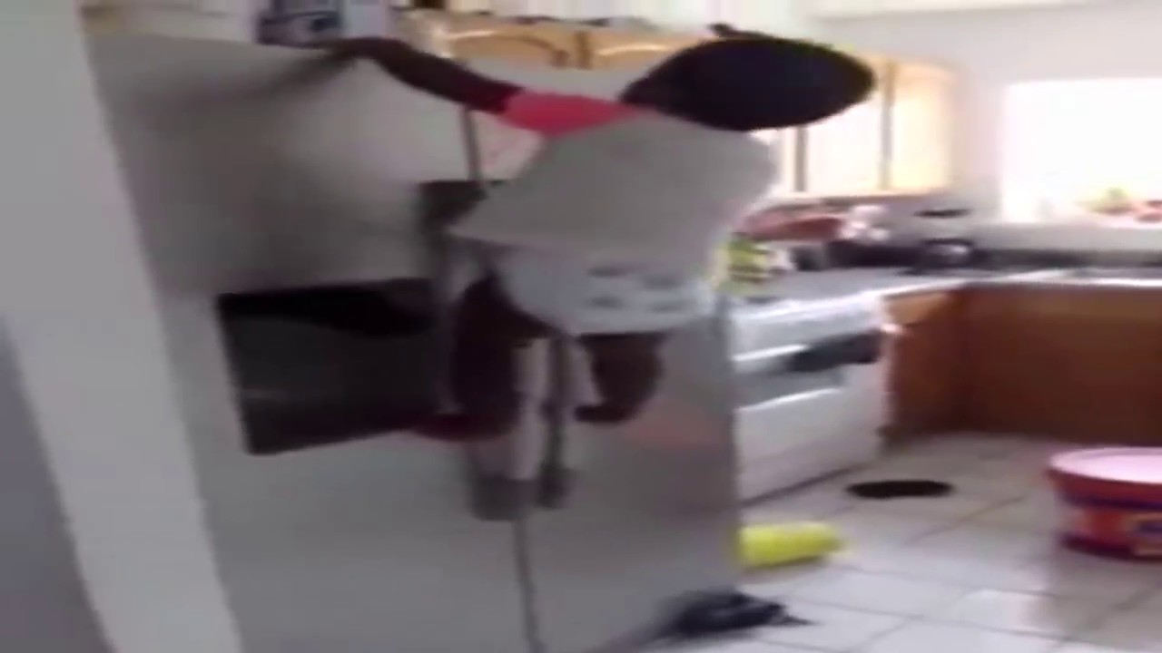 haha why he climbing the fridge tho - YouTube