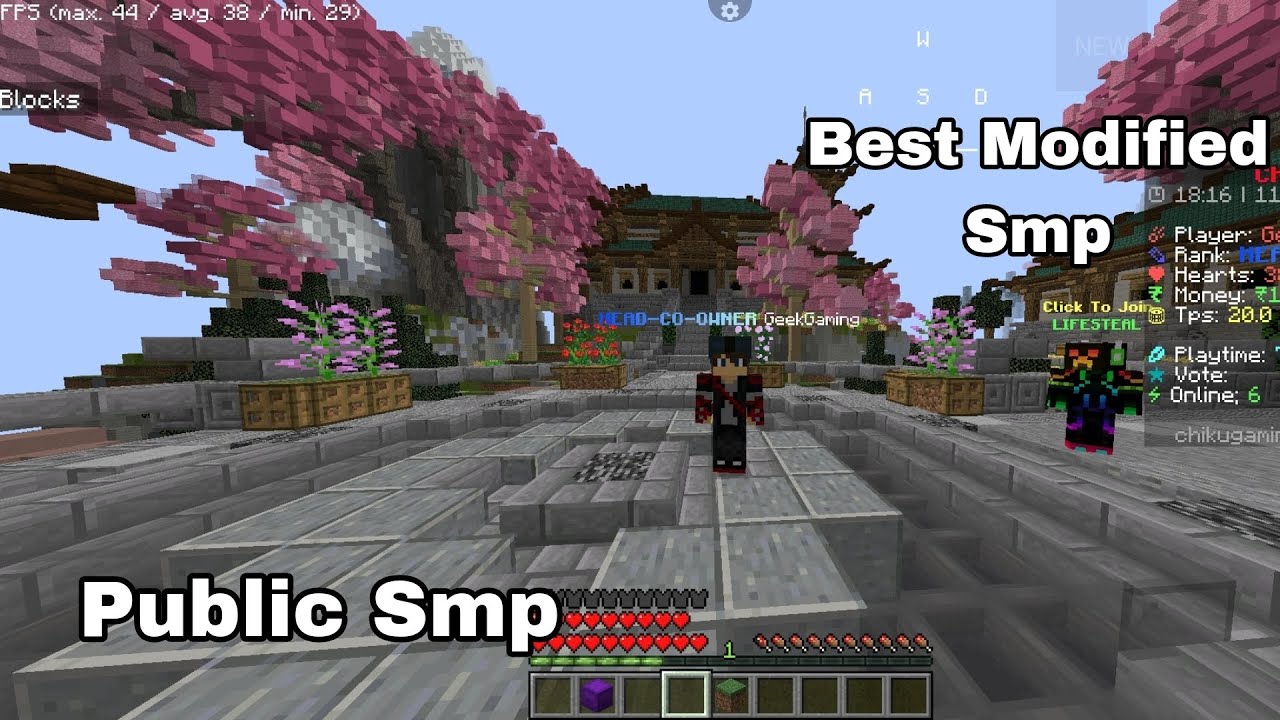 best Public Smp | Best Modified Lifesteal Smp - YouTube