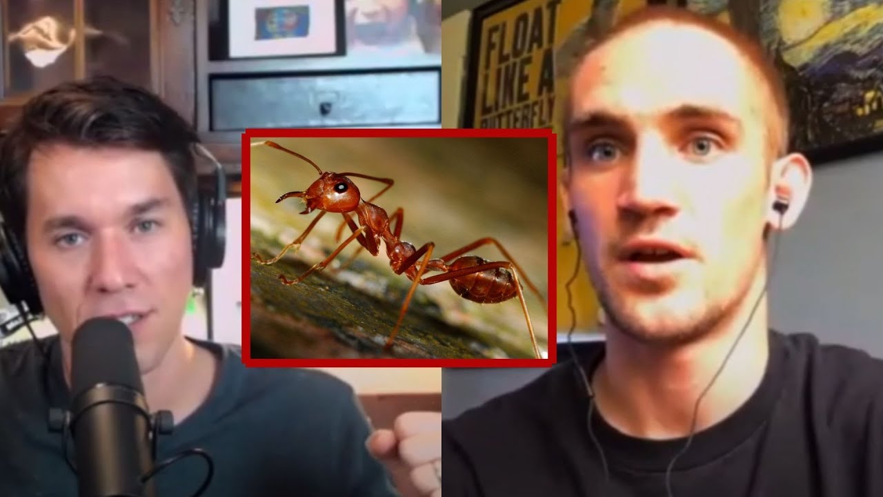 Stoicism: learning how to react to life circumstances | Former homeless ...