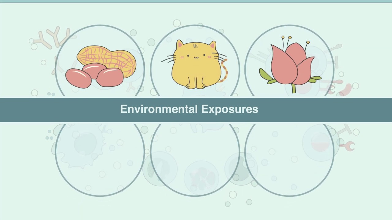 Phage ImmunoPrecipitation Sequencing (PhIP-seq) with Twist Oligo Pools ...