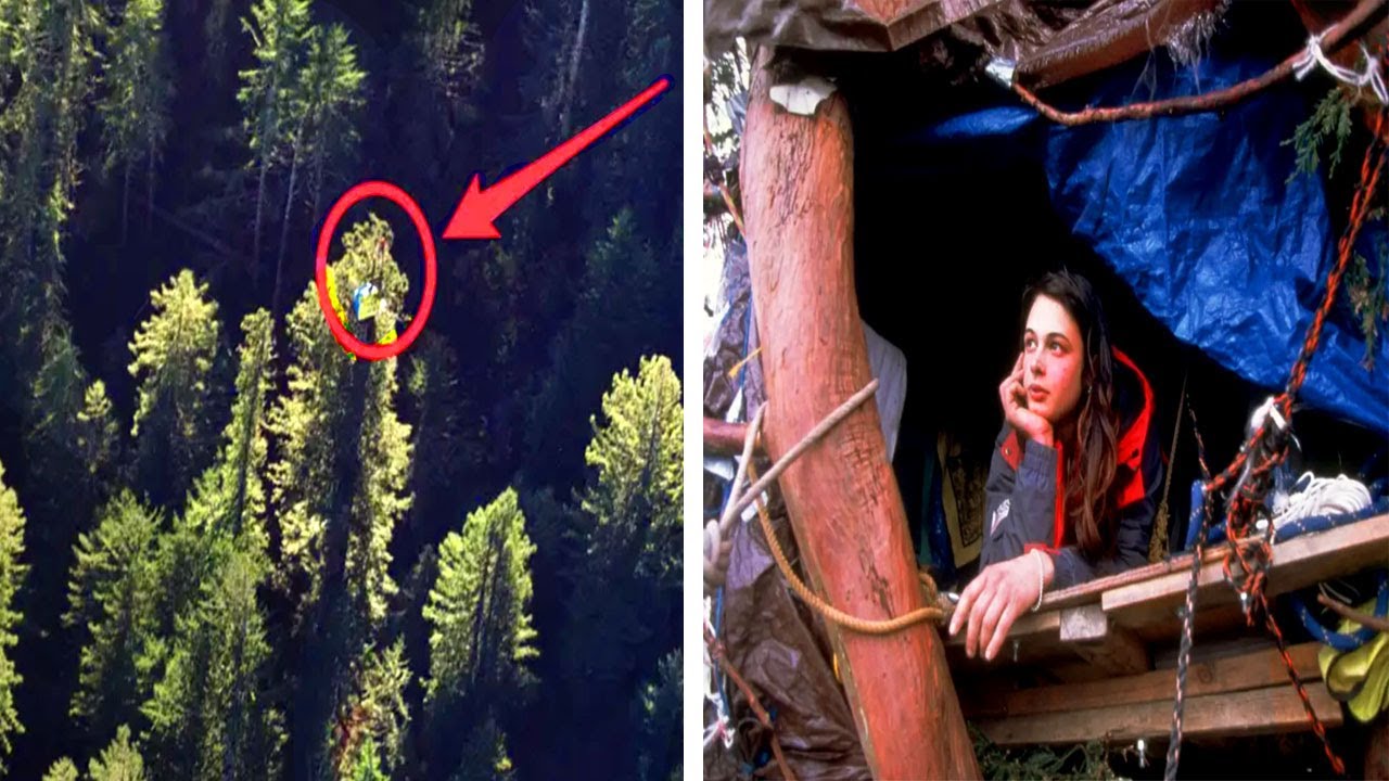 The Incredible Story of the Girl Who Stayed 738 Days in a Redwood Tree ...