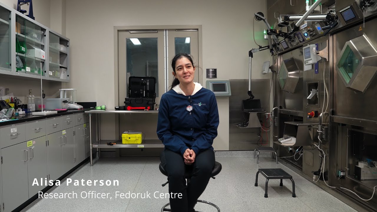 Career Talks: Research Officer - YouTube