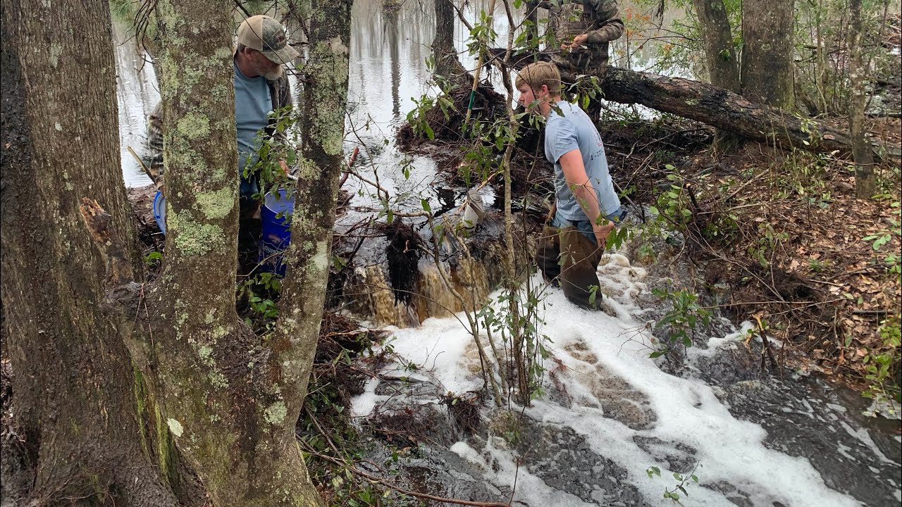Georgia Beaver Reapers blowing beaver dams @rickywade8263 - YouTube
