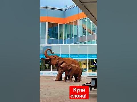 Купи слона! - YouTube