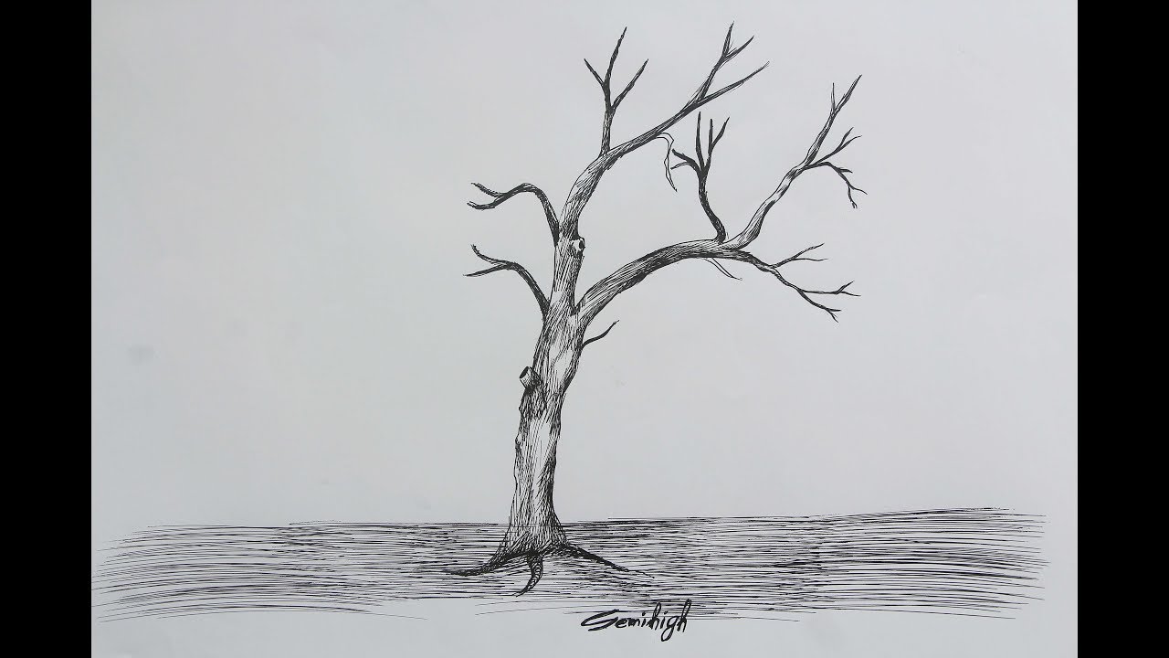 Belichick coaching tree | Sports Forum - SportsHoopla