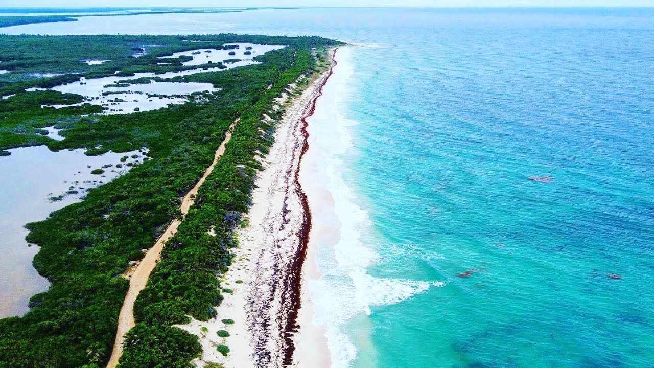 Reserva de la Biosfera de Sian Ka’an, Punta Allen y Laguna de Muyil ...