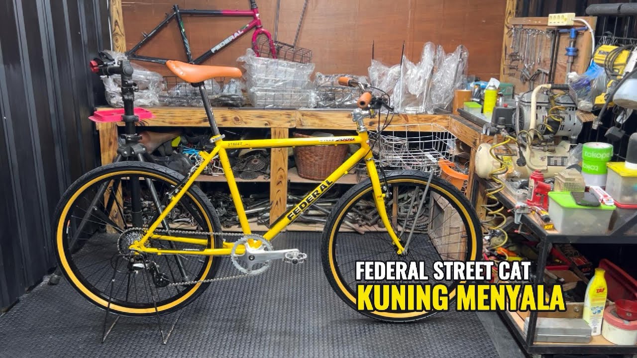 FEDERAL STREET CAT KUNING MENYALA! - YouTube