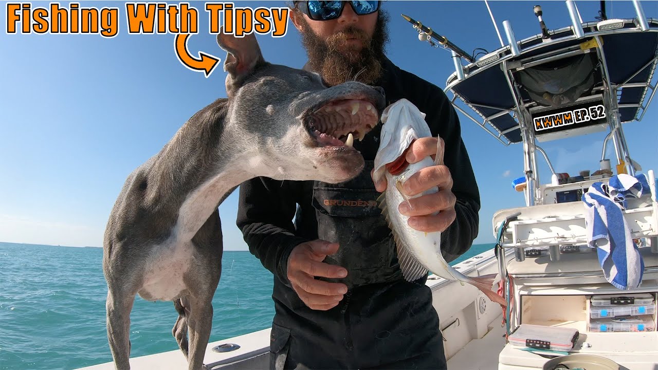 Fishing With Tipsy | Lane Snapper On A Chicken Rig - YouTube