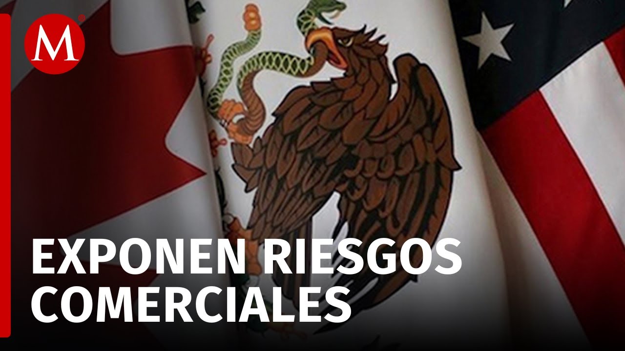 T-MEC estaría en riesgo con la desaparición de CRE y CNH, órganos ...