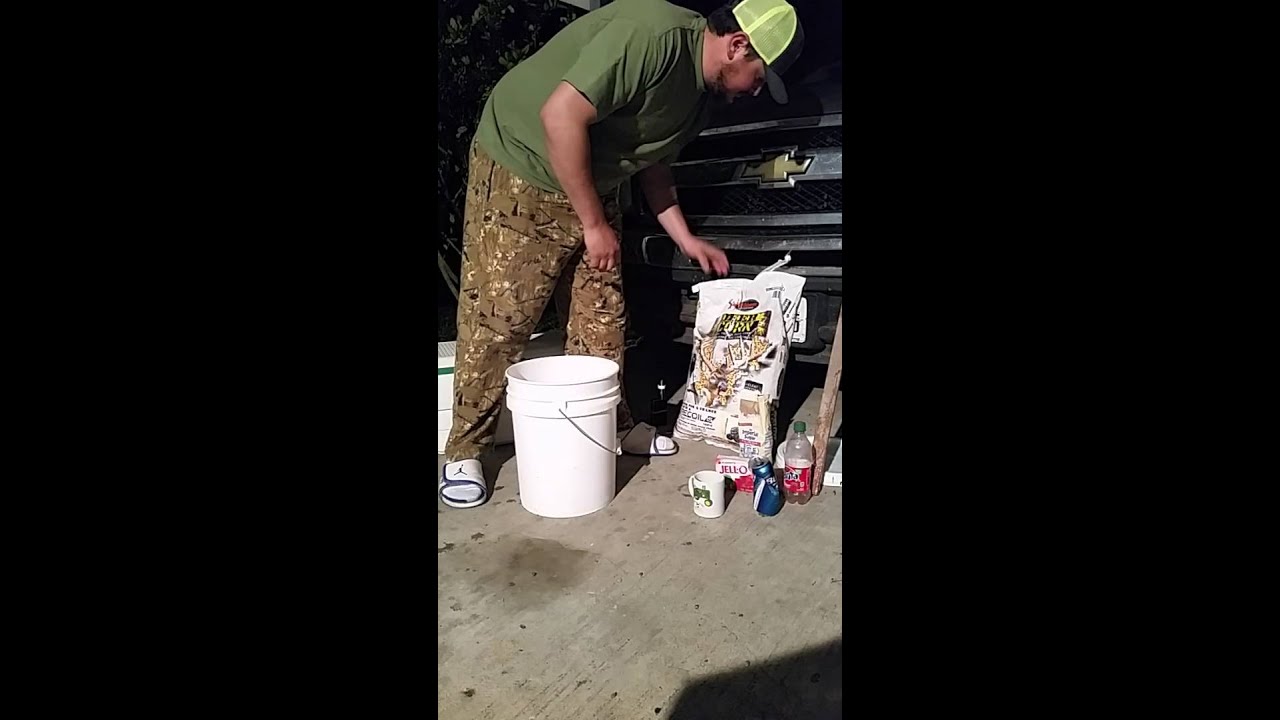 Hog bait hog mash - YouTube