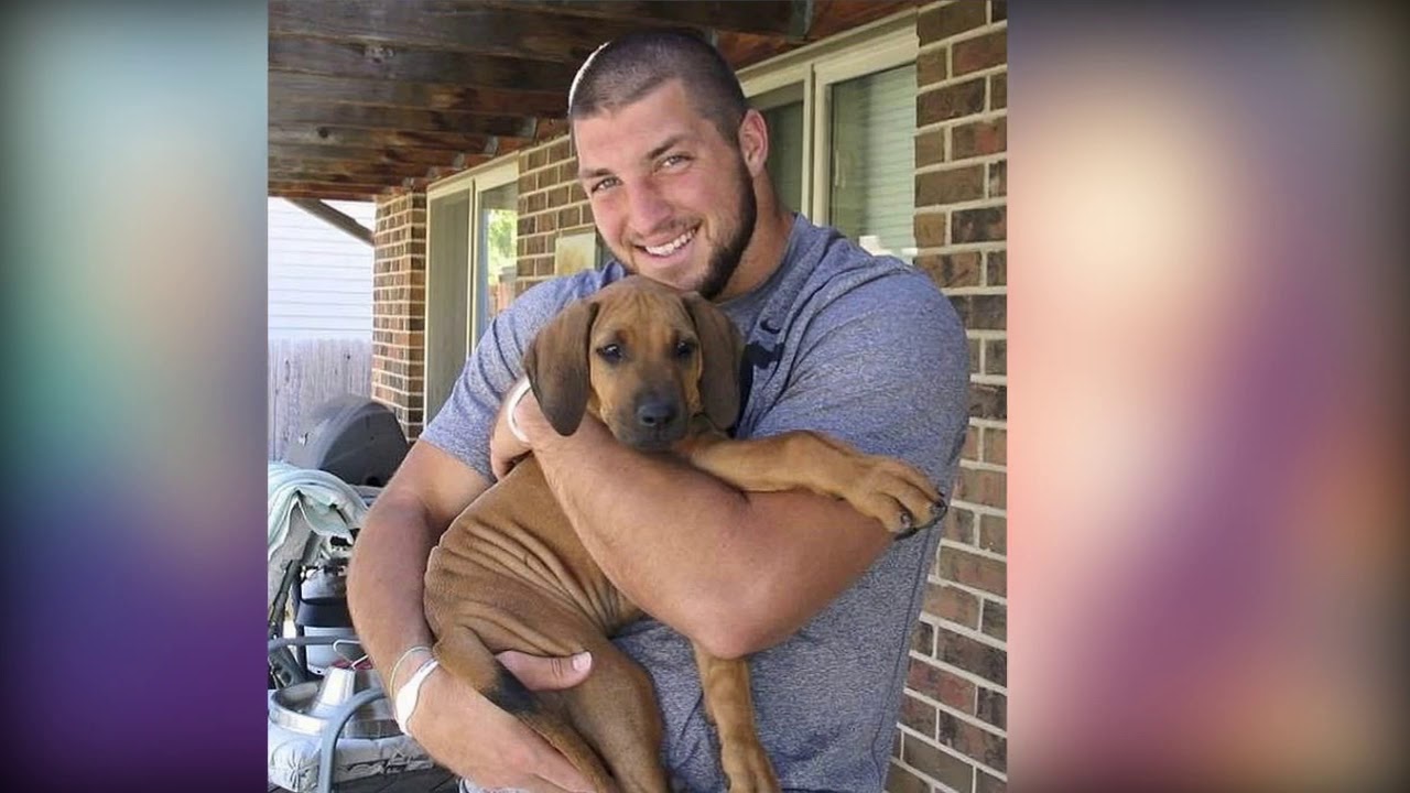 Tim Tebow posts heartbreaking video as he says goodbye to his dog ...
