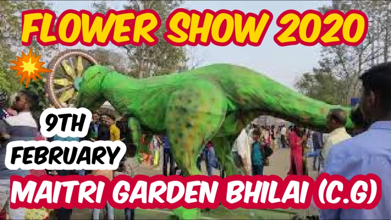 Flower show 9th february maitri garden bhilai Chhattisgarh by creative ...