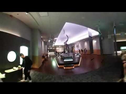 Sue T Rex Exhibit Field Museum 360 Video - YouTube