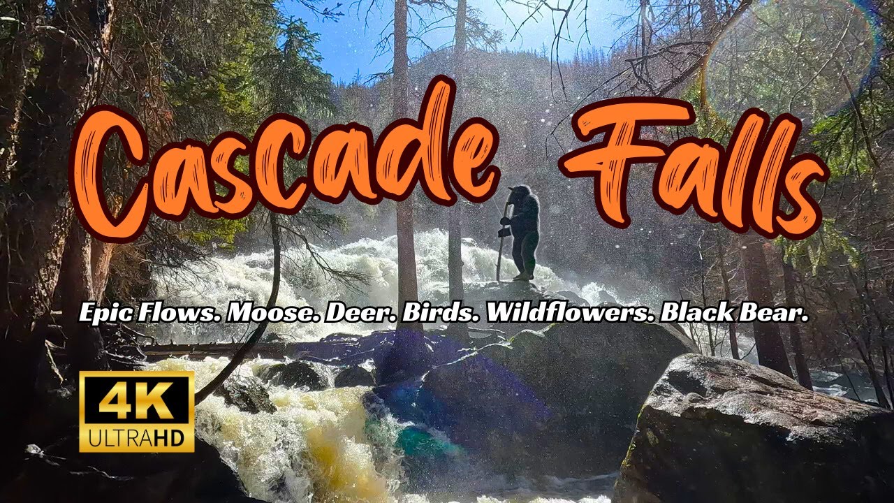 Cascade Falls Hike 4K - Insane Flow - YouTube
