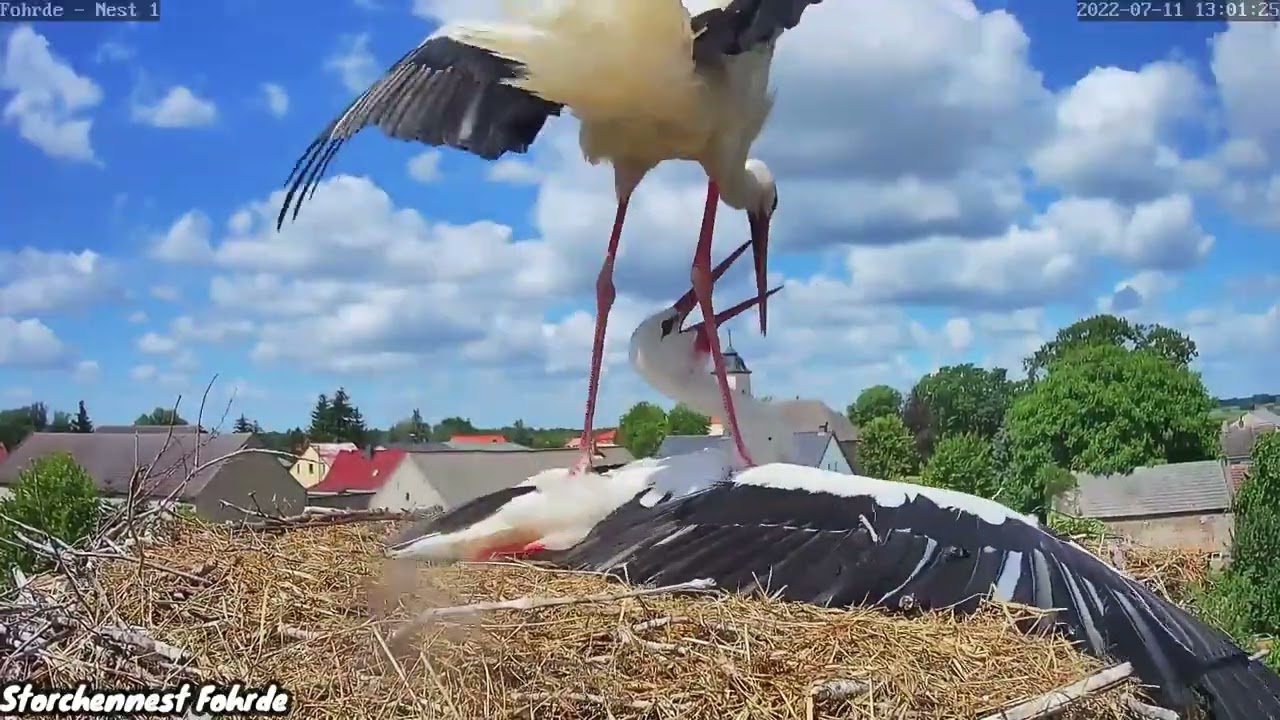 Emil legt Emma flach! 😅 - YouTube