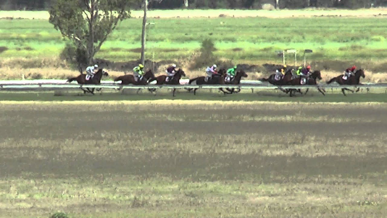 Thangool Race Cub - YouTube