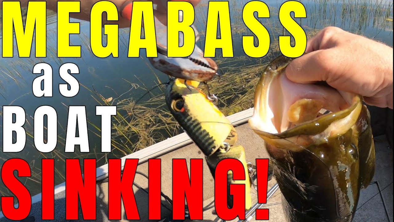 DISASTER - Sinking boat catches GIANT bass on Swimbait - YouTube