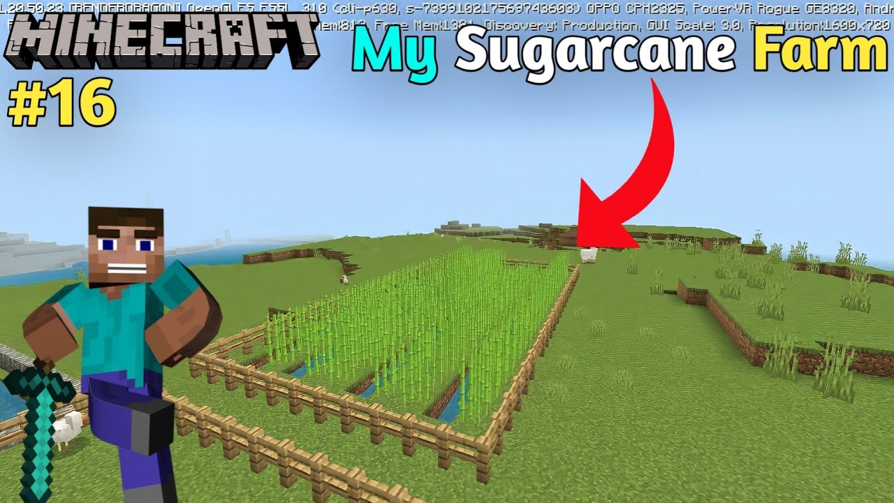 I Made Sugarcane Farm | MINECRAFT Gameplay #16 - YouTube