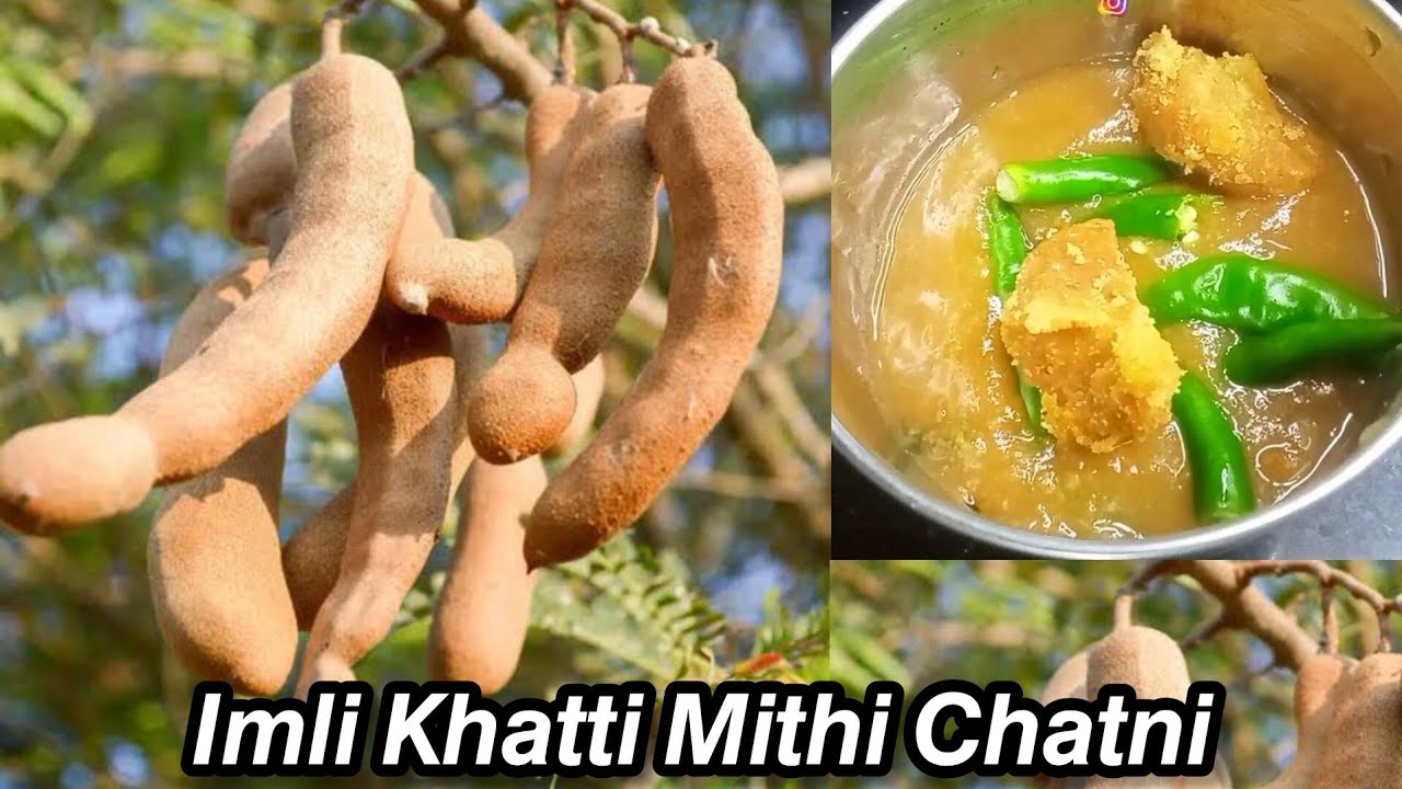 Mazedar Khatti Mithi Imli Ki Chatni Recipe In Just 2 Minutes ...