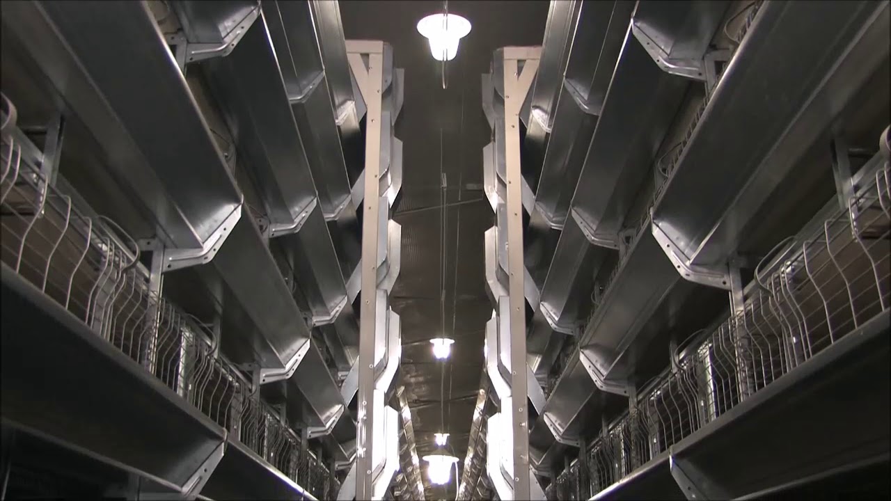 Ideal Plus Video part 2 - YouTube