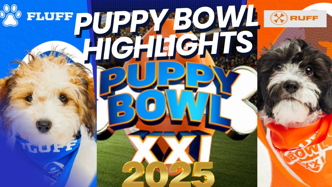Spettacolo Dell'intervallo Del Puppy Bowl