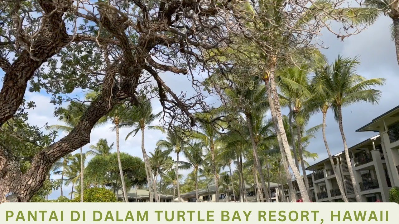 PANTAI DI DALAM TURTLE BAY RESORT, HAWAII 🌴 - YouTube