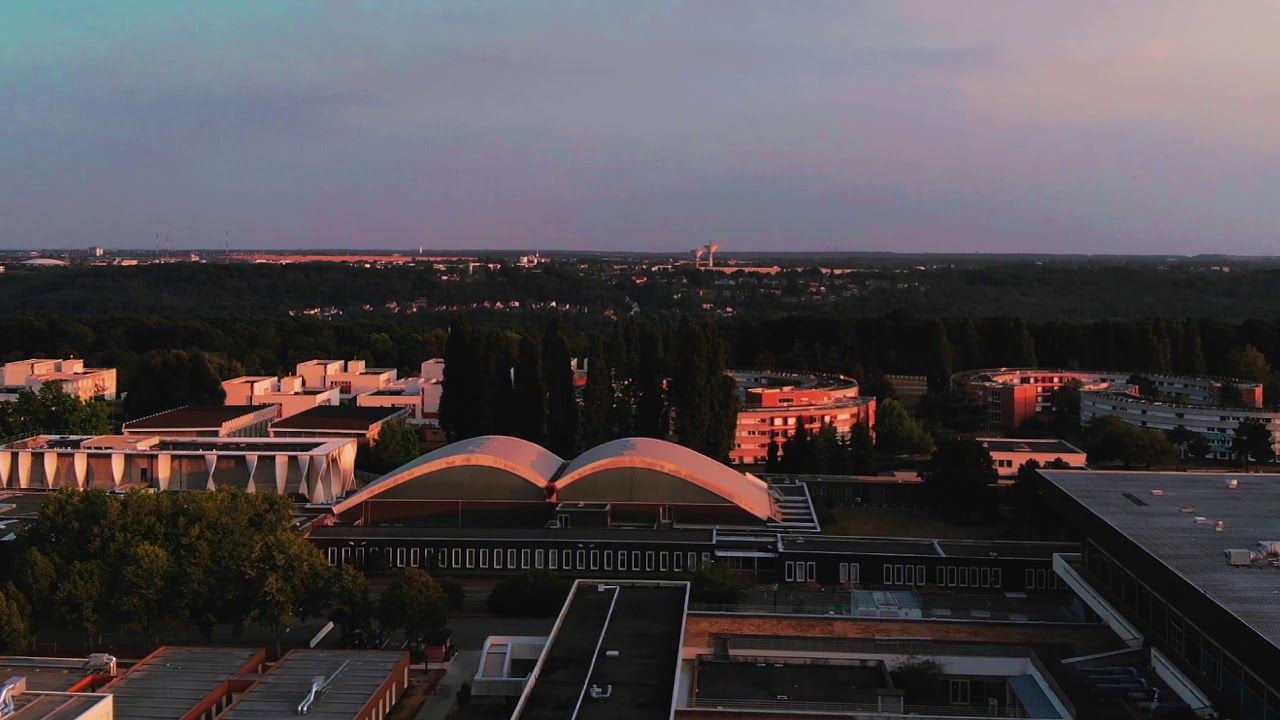 Un été à l'École polytechnique - YouTube