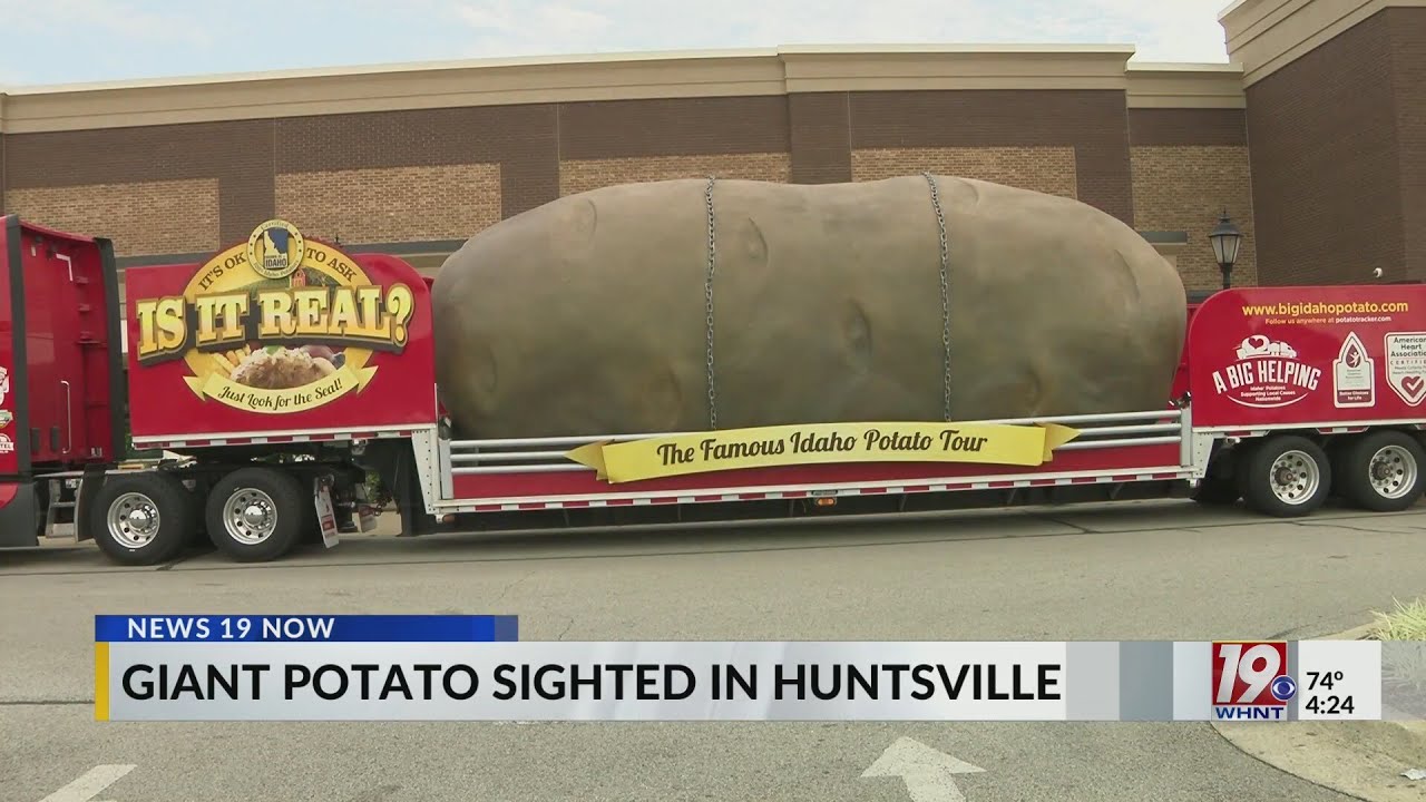 Giant Potato Sighted in Huntsville | Aug. 15, 2025 | News 19 at 4 p.m ...