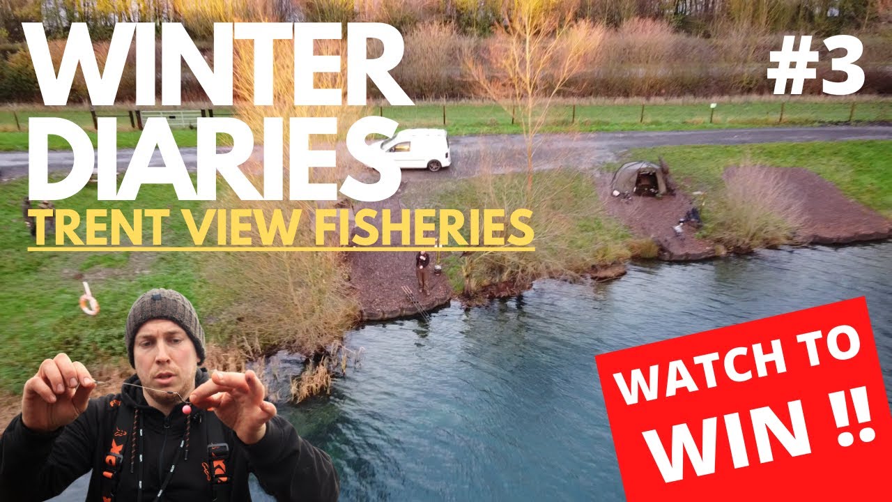 WINTER CARP FISHING - TRENT VIEW FISHERIES - watch to win FREE GIVAWAY ...