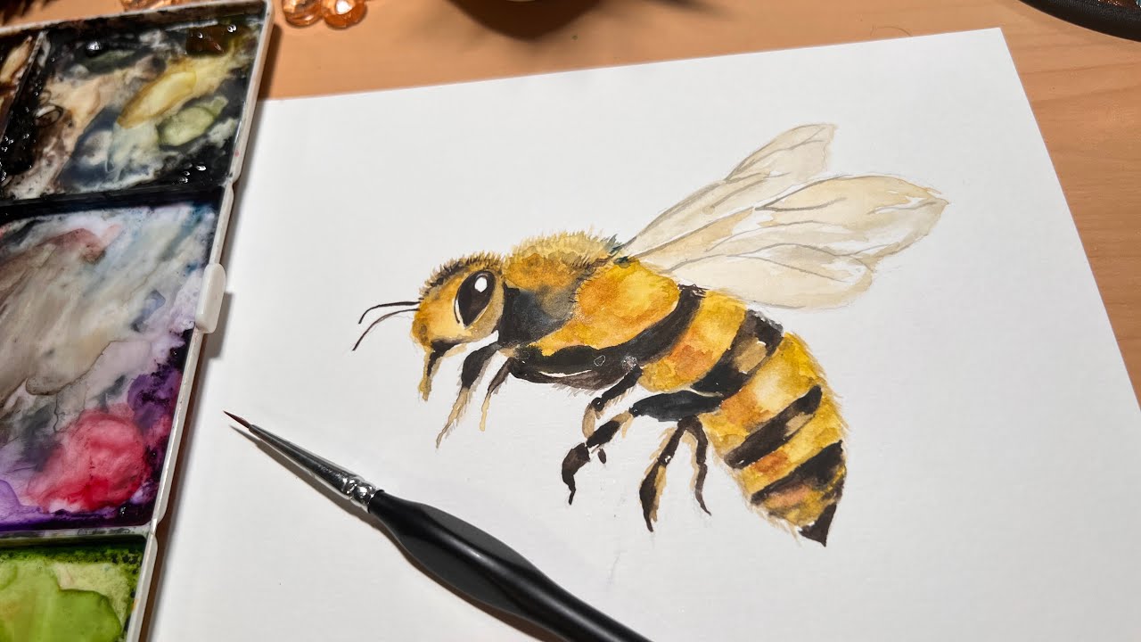 How to paint a Bee using watercolor | Holbein paint #watercolor # ...