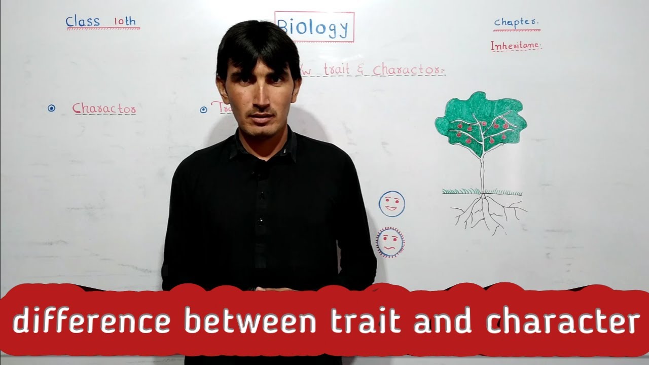 difference between trait and character. - YouTube