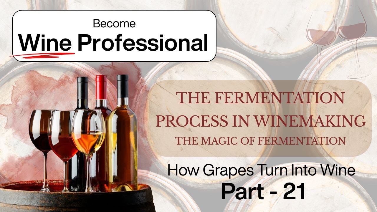 The Fermentation Process in Winemaking | Magic of Fermentation | What ...