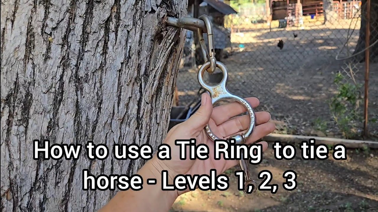 Everything you need to know about using a Tie Ring to tie a horse - YouTube