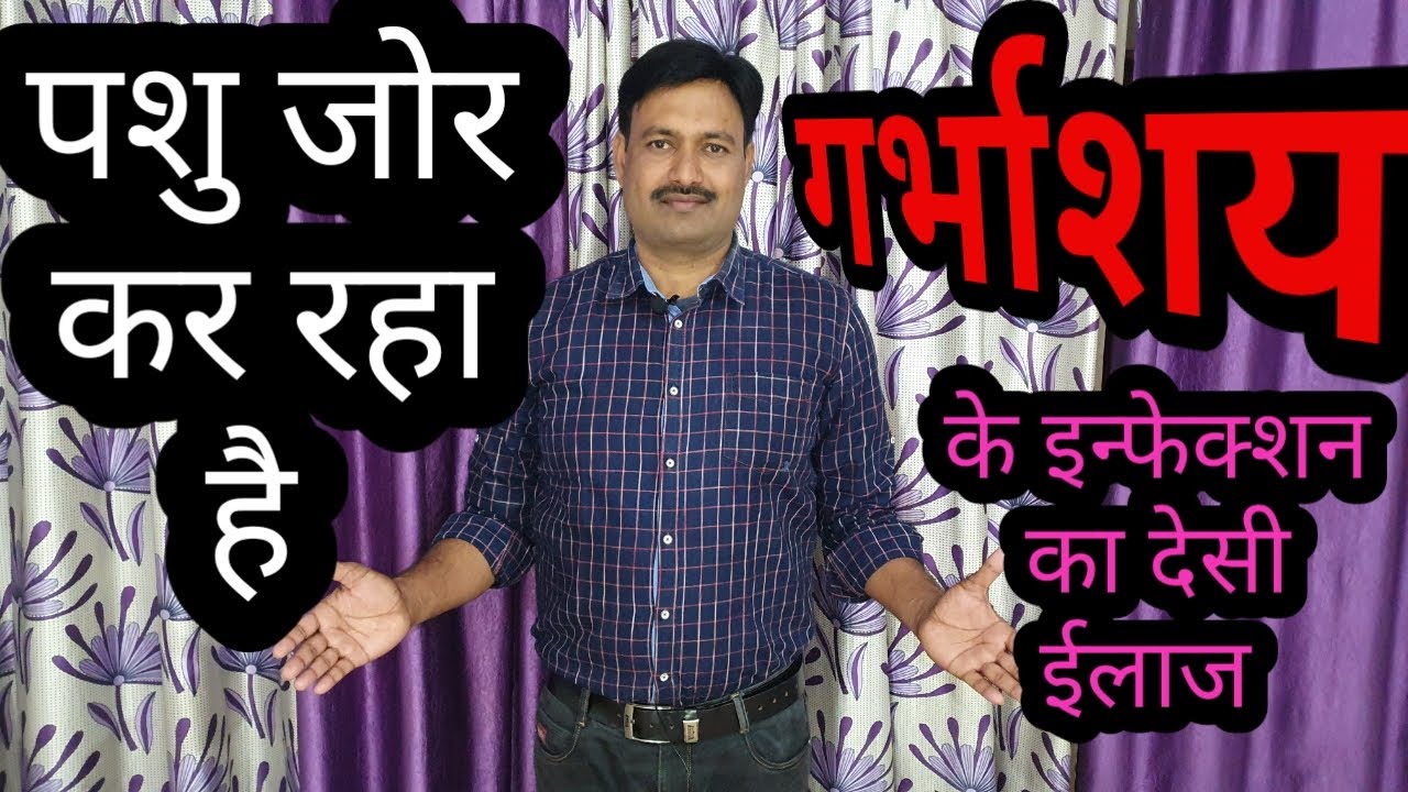 pashu ki bachedani me infection /गर्भाशय में इन्फेक्शन को घरेलू उपचार ...