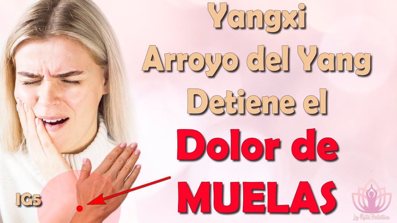IG5 - Yangxi - Arroyo del Yang - Intestino Grueso - Detiene el Dolor de ...