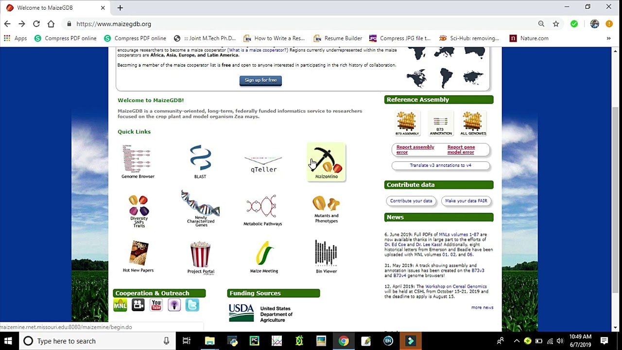Maize genome browser Tutorials - YouTube