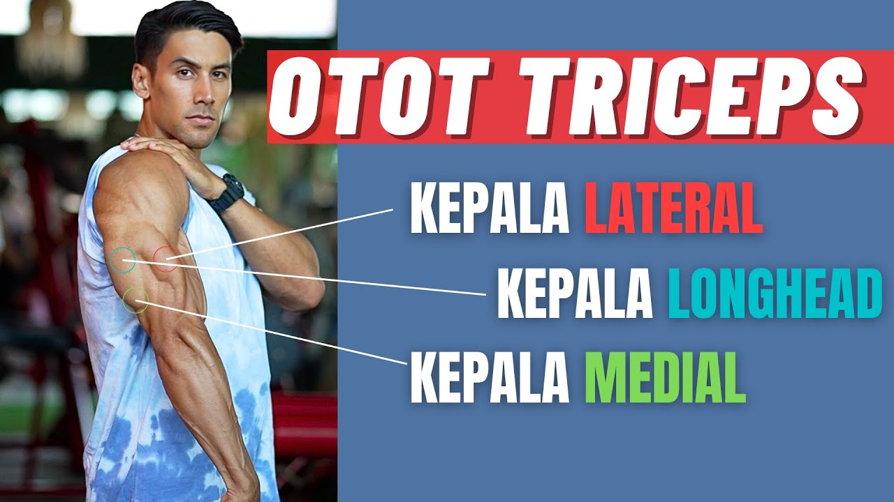 NONTON INI SEBELUM KAMU LATIHAN OTOT TRICEPS - YouTube