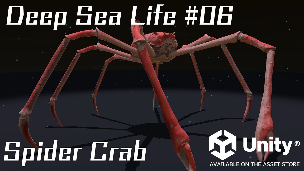 UNITY ASSET : DEEP SEA LIFE #06 Spider Crab / UNITYアセット 深海生物シリーズ06 タカアシ ...