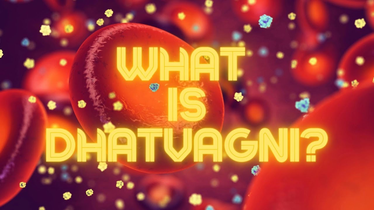What is Dhatvagni? - YouTube