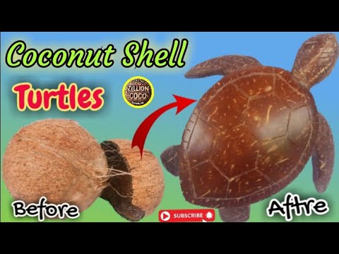 "Coconut Shell Turtle 🐢 | Unique Handmade Craft from Waste" diy craft # ...