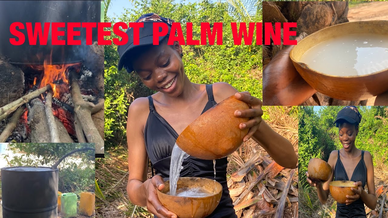 Sweetest Locally made palm wine in an African Village in Ghana 🇬🇭/Pure ...